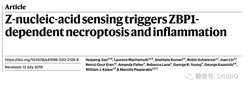 Cell+Nature+Nature|共同讲一个故事: Z型核酸激活ZBP1-RIP3-MLKL通路导致细胞程序性坏死和炎症 - 黄灿华教授 实验室