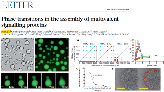 2020.12.20 罗茂超分享“多聚泛素化链诱导的p62相分离促进自噬底物隔离”的故事 - 黄灿华教授 实验室