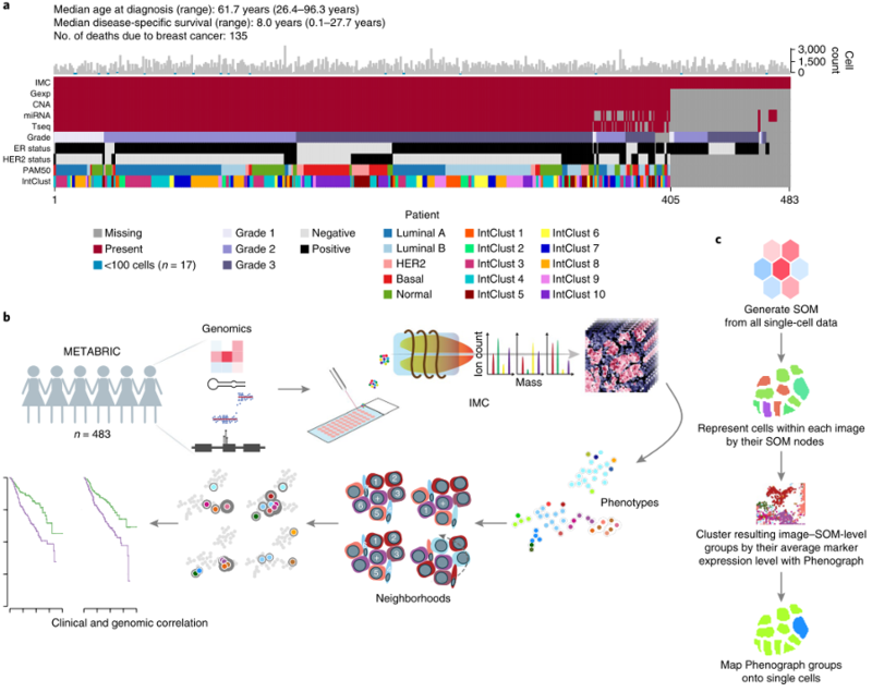 Nature Cancer｜IMC技术揭示乳腺癌基因-表型 - 黄灿华教授 实验室