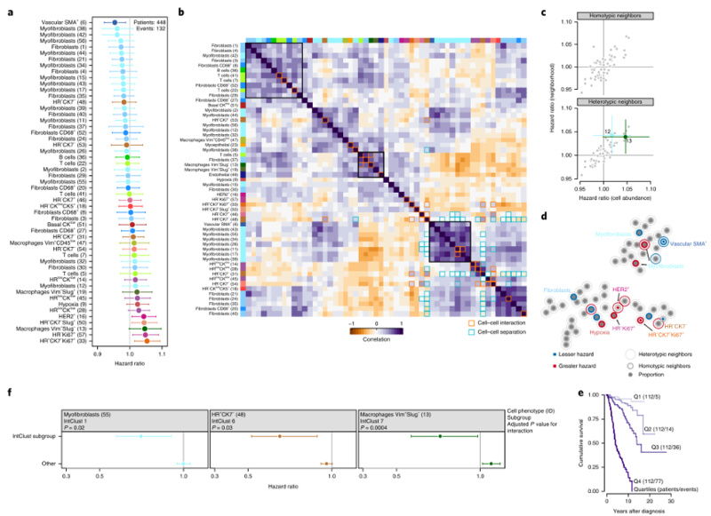 Nature Cancer｜IMC技术揭示乳腺癌基因-表型 - 黄灿华教授 实验室