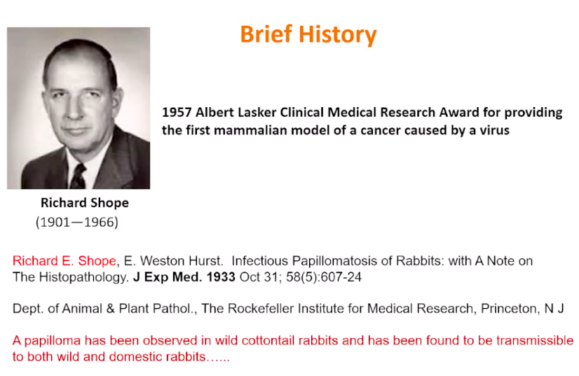 携手抗癌丨超越一个世纪的发现之旅，肿瘤病毒研究这110年 - 黄灿华教授 实验室