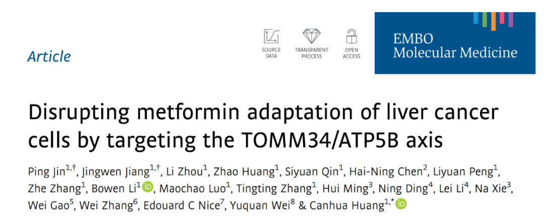 EMBO Mol Med丨黄灿华团队揭示线粒体外膜蛋白TOMM34通过维持细胞氧化磷酸化而介导肝癌对二甲双胍适应性的分子机制 - 黄灿华教授 实验室