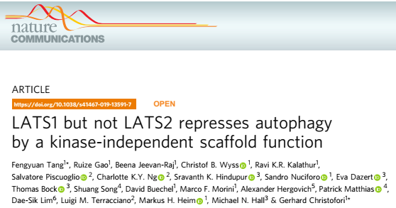 Nat Comm | Hippo 信号通路LATS1非激酶活性依赖性调控细胞自噬 - 黄灿华教授 实验室